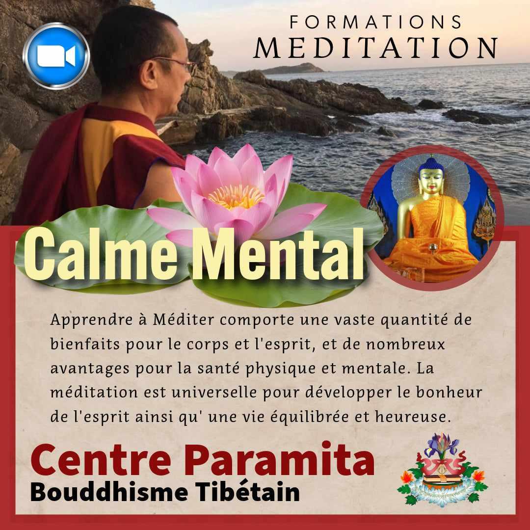 MEDITATION 14 Sept Zoom | Formations 10 sem Calme Mental | Enseignant ...